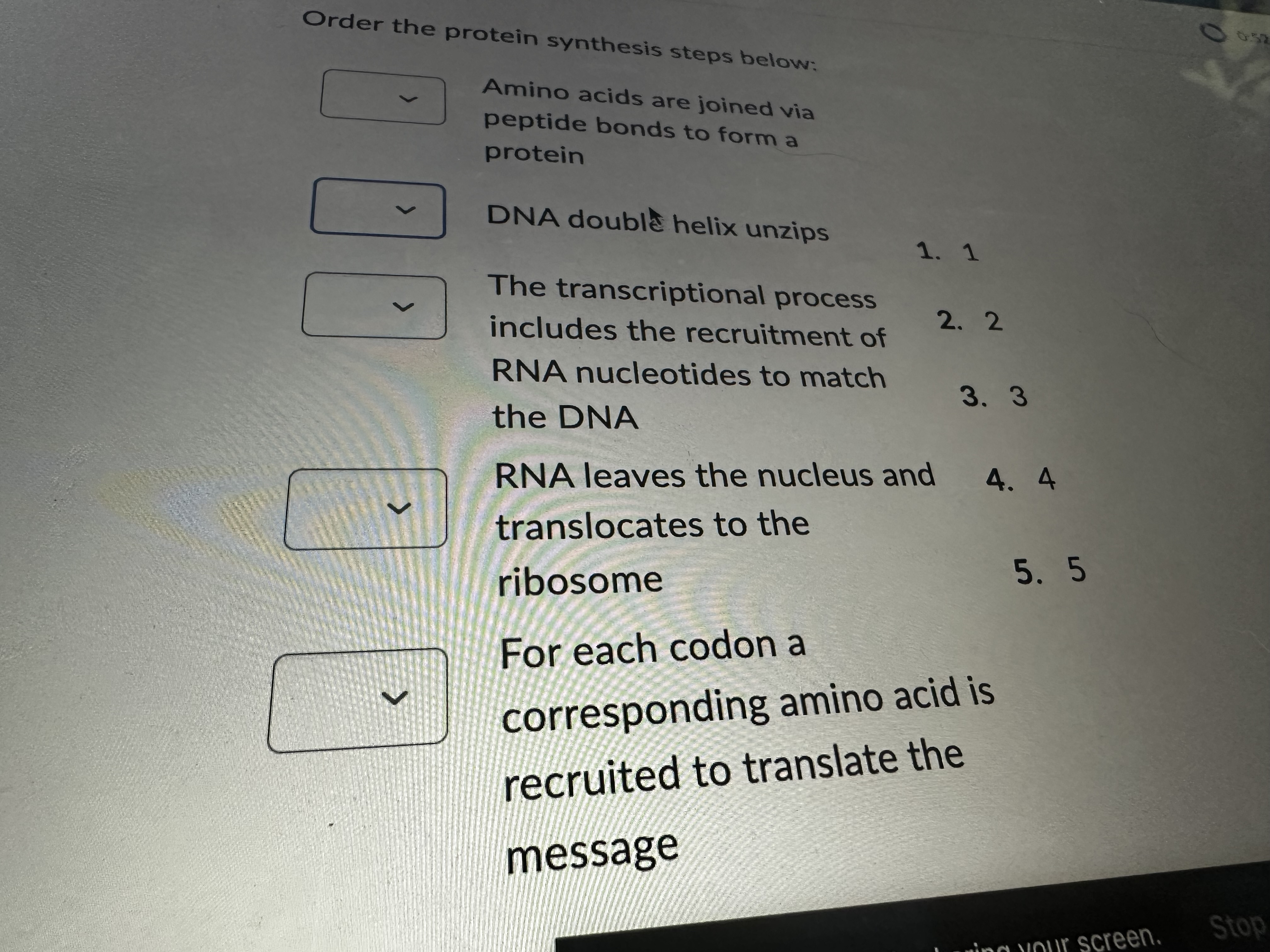 Solved Order the protein synthesis steps below:Amino acids | Chegg.com