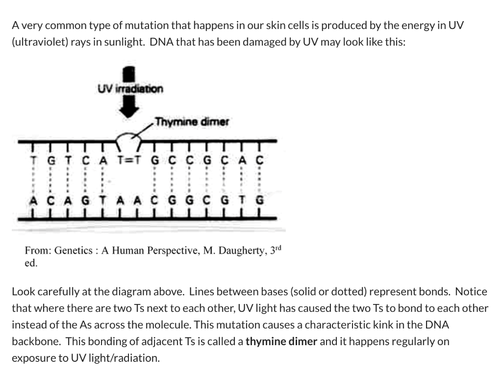 Solved 1. DNA replication should produce two daughter | Chegg.com