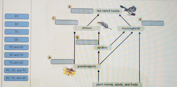 Solved Type of interaction Interaction between species 1 and | Chegg.com