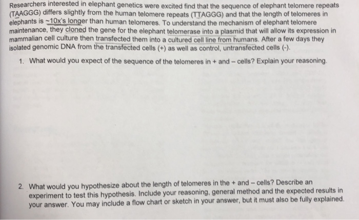Solved Researchers interested in elephant genetics were | Chegg.com