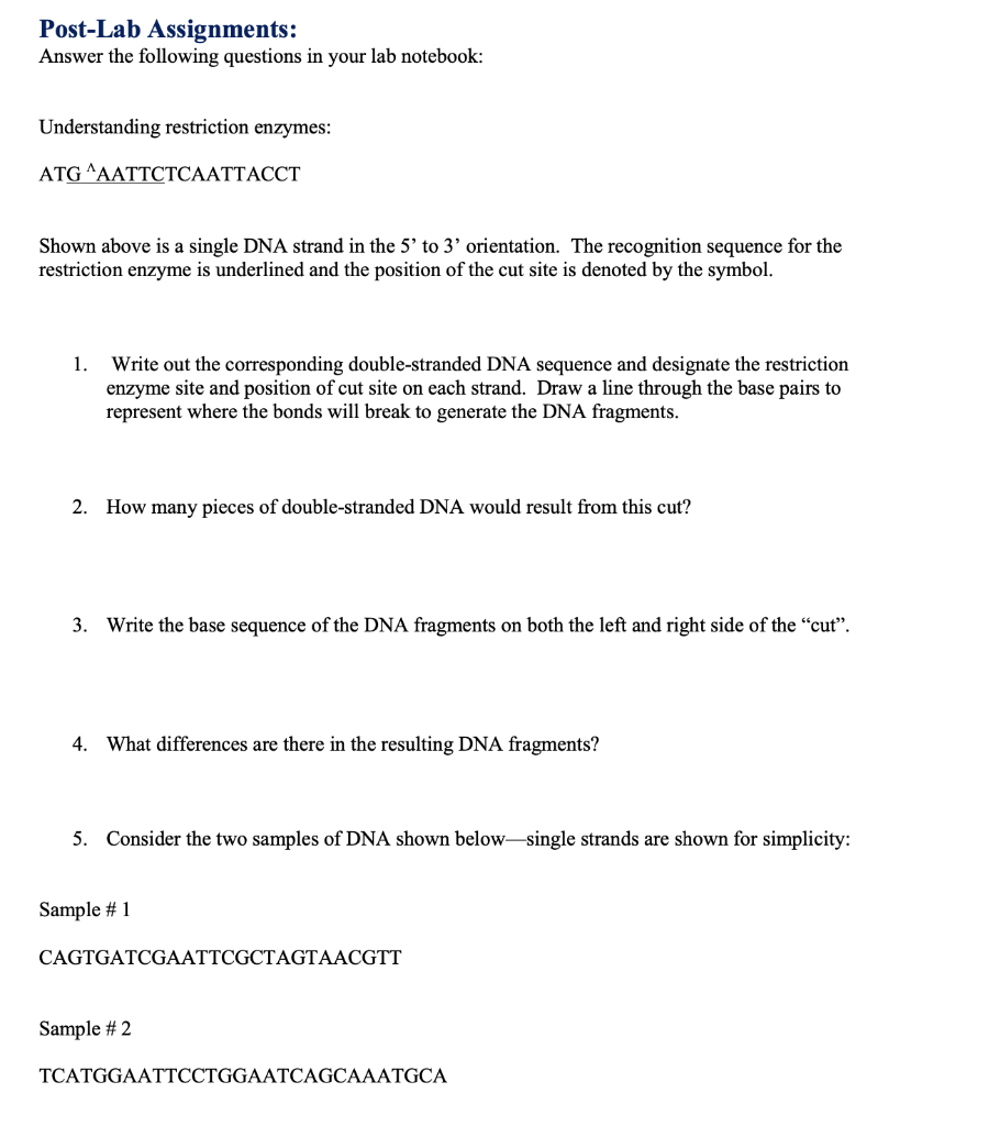 Solved Post-Lab Assignments: Answer the following questions | Chegg.com