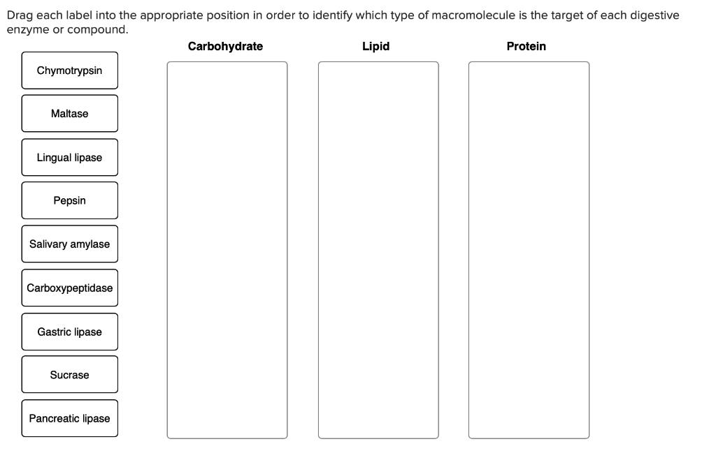 Solved Drag each label into the appropriate position in | Chegg.com