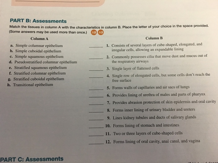 Solved Match the tissues in column A with the | Chegg.com