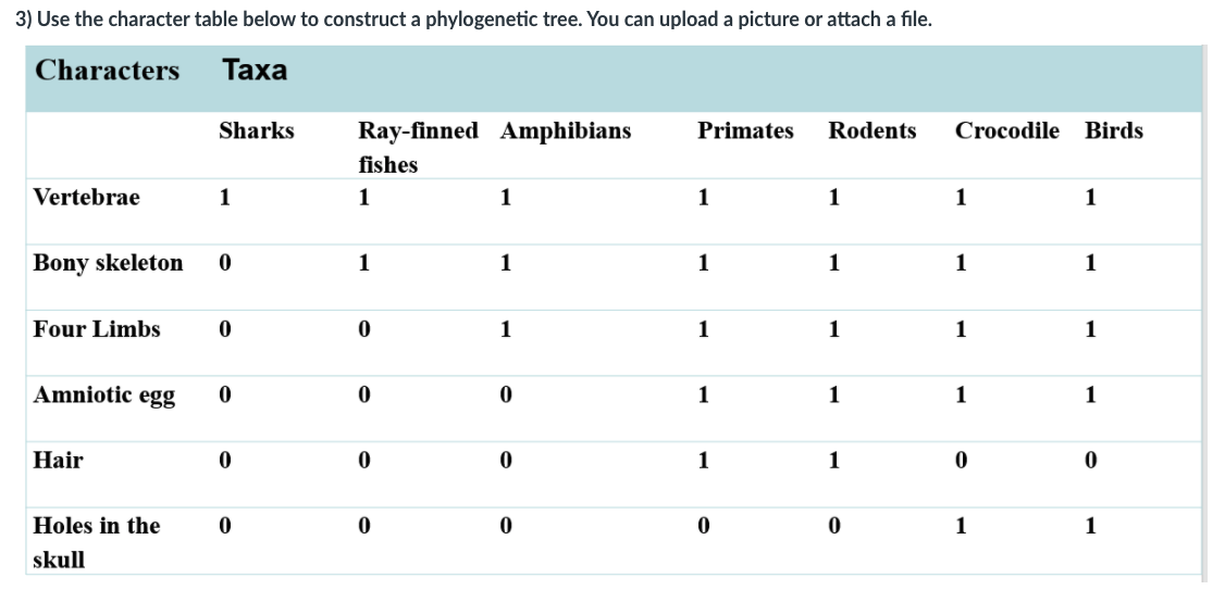 Solved 3) Use the character table below to construct a | Chegg.com