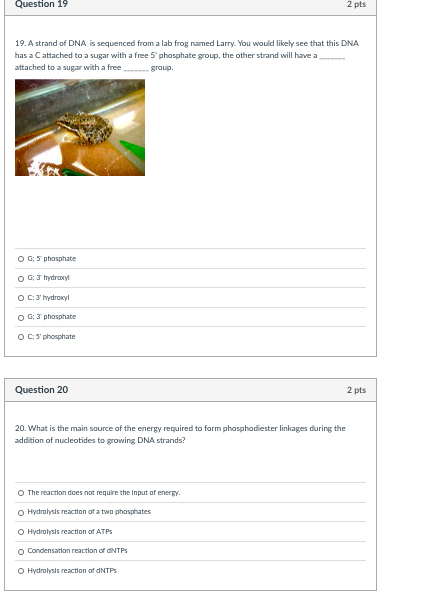 Solved 16. The following table shows Chargaff's data that | Chegg.com