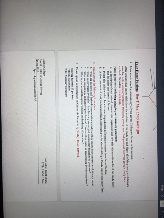 Solved INSTRUCTIONS 1. Split into groups of 4-6. 2. As a | Chegg.com