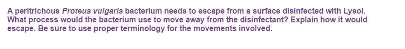 Solved A peritrichous Proteus vulgaris bacterium needs to | Chegg.com