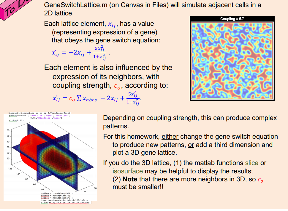 To a Gene SwitchLattice.m (on Canvas in Files) will | Chegg.com
