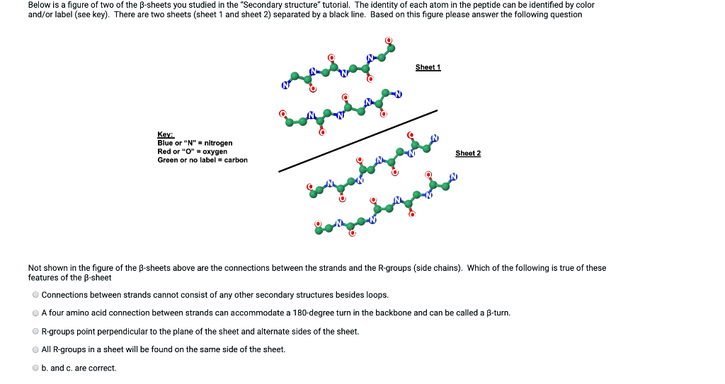 Solved Below is a figure of two of the B-sheets you studied | Chegg.com