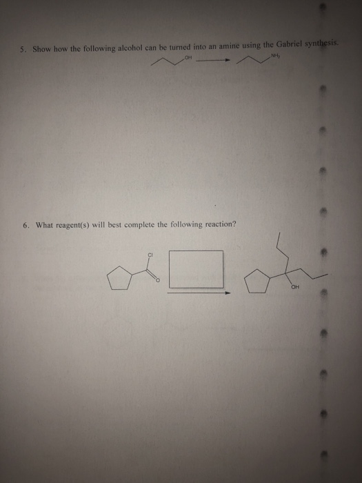 Solved I can be turned into an amine using the Gabriel | Chegg.com