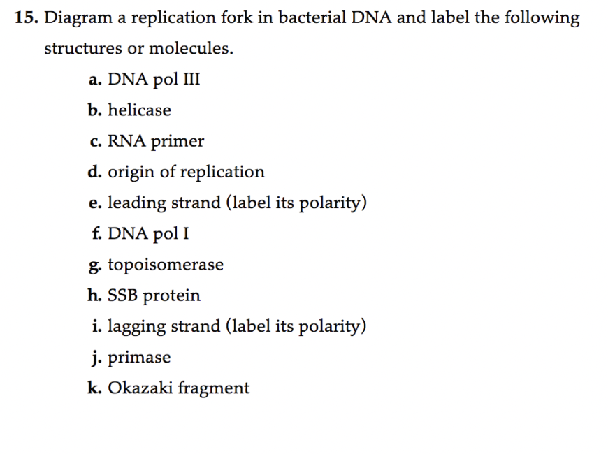 Solved 5. Diagram a replication fork in bacterial DNA and | Chegg.com