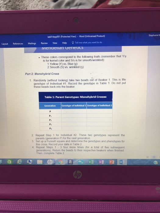 Solved Stephanie M lab014exp001 (Protected View) - Word | Chegg.com