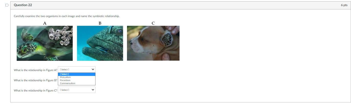Solved Carefully examine the two organisms in each image and | Chegg.com