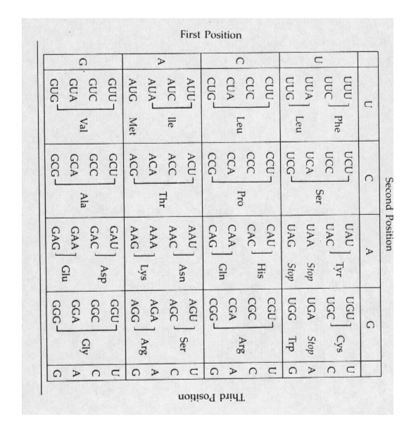 Question 7. a. What is a consensus sequence? b. The | Chegg.com