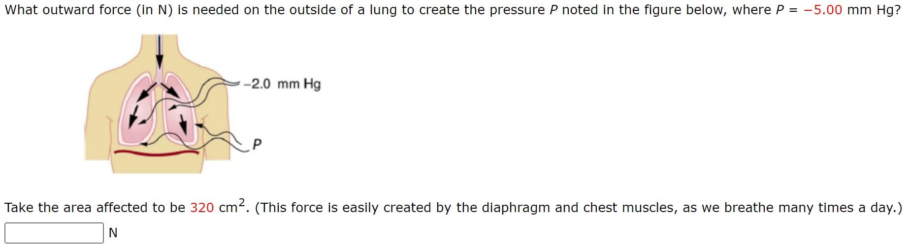Solved What outward force (in N ) is needed on the outside | Chegg.com