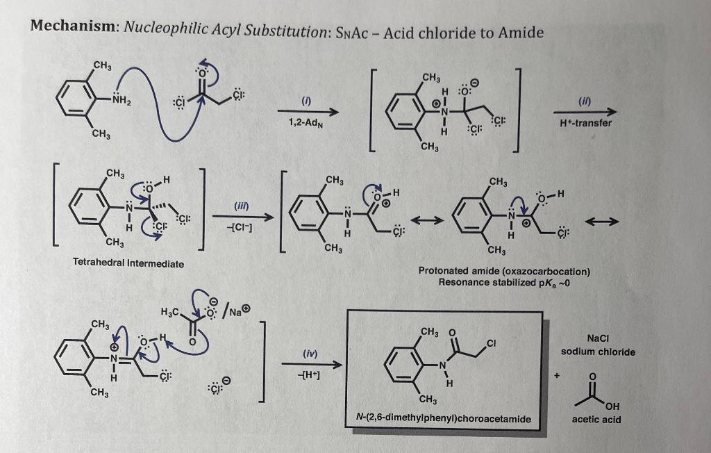 Solved Please explain each step in the mechanism the | Chegg.com