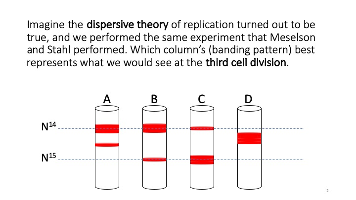Solved Imagine the dispersive theory of replication turned | Chegg.com