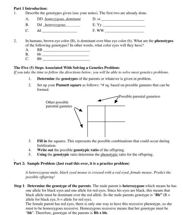 Solved Part 1 Introduction: 1. Describe the genotypes given | Chegg.com