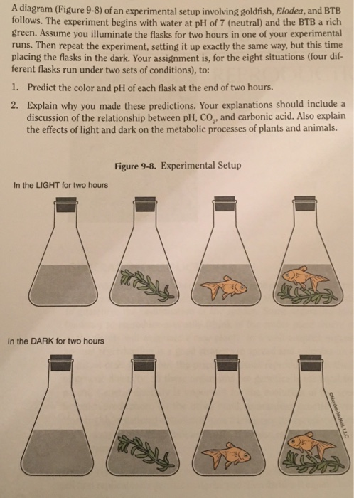 Solved A diagram (Figure 9-8) of an experimental setup | Chegg.com