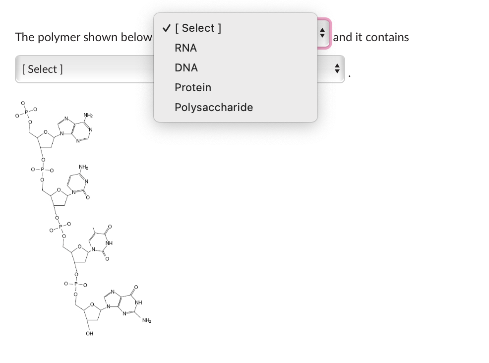Solved The polymer shown below | Chegg.com