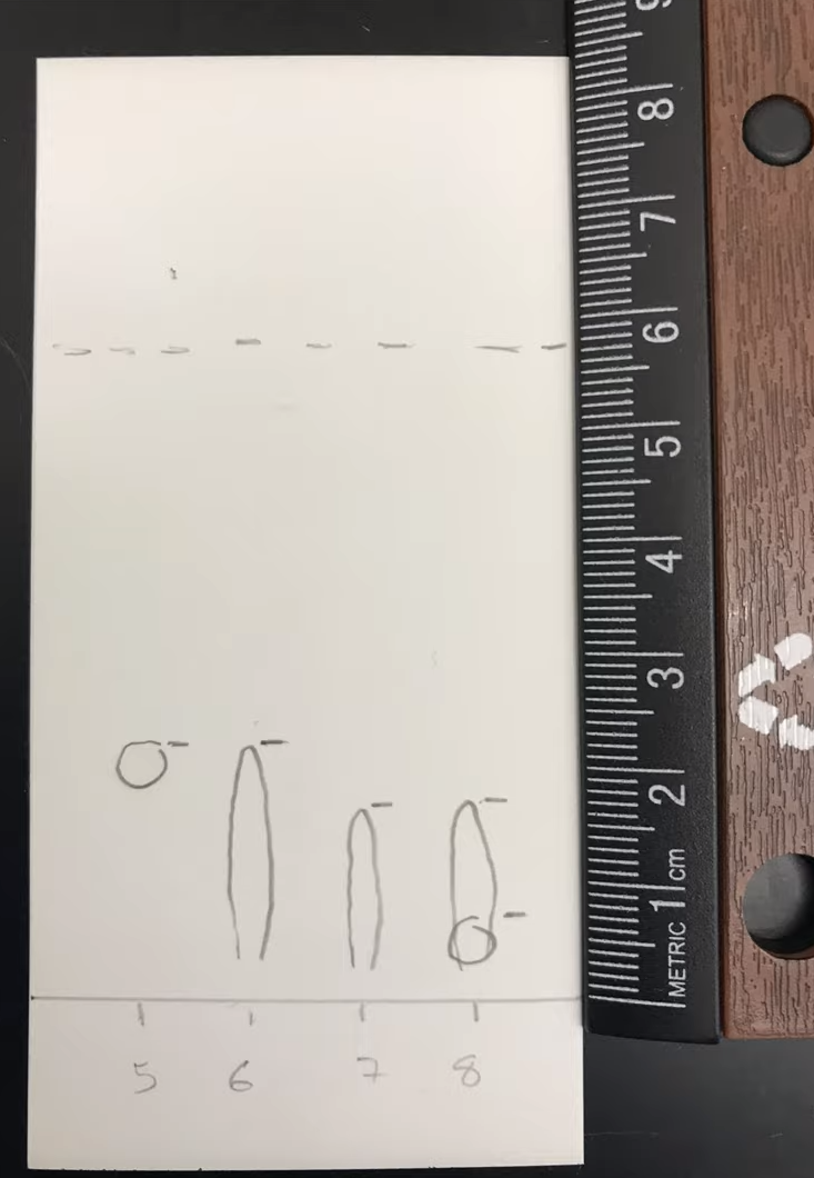 Solved Please Calculate The Rf Values For Each Spot Seen