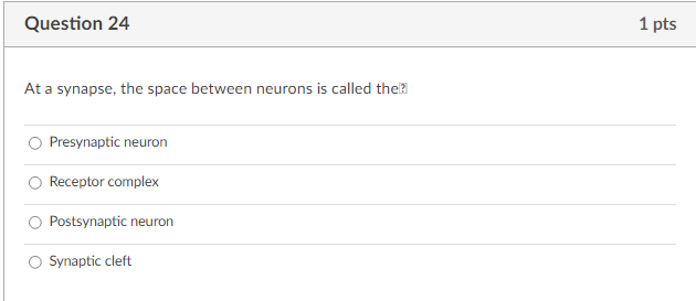 Solved Question 24At a synapse, the space between neurons is | Chegg.com