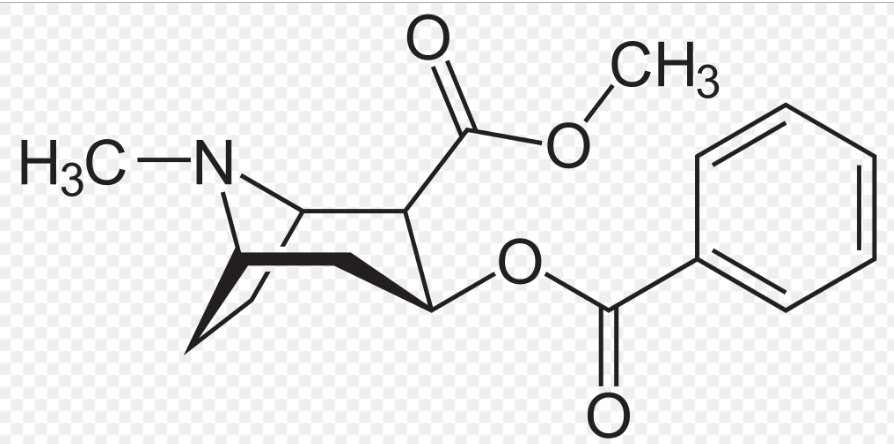 Geochemistry The simple protonation and deprotonation | Chegg.com