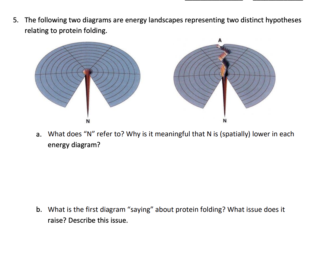 Solved The following two diagrams are energy landscapes | Chegg.com