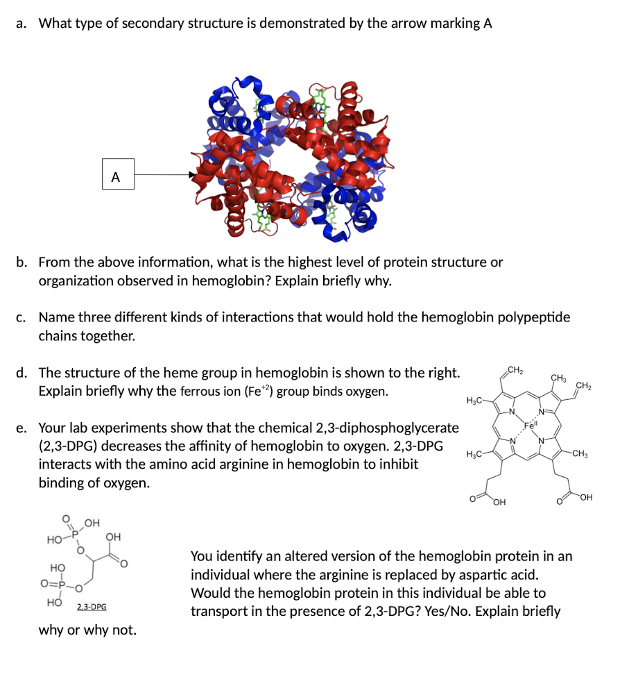 Solved a. What type of secondary structure is demonstrated | Chegg.com