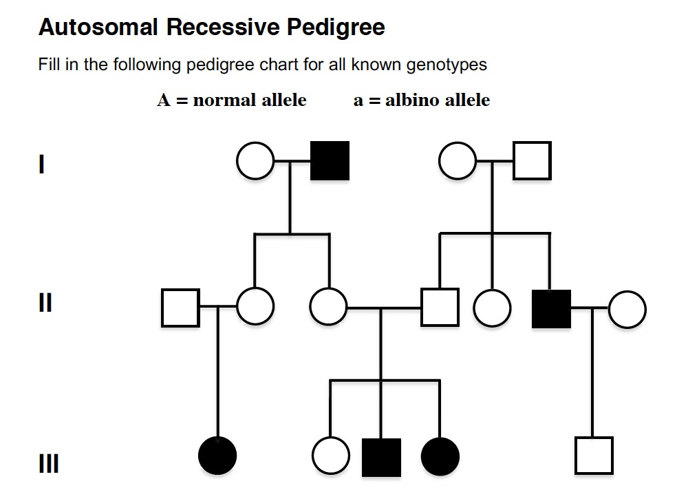 Albinism Pedigree Chart