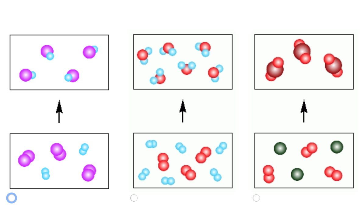 Solved Decide if each statement is true or false for the | Chegg.com