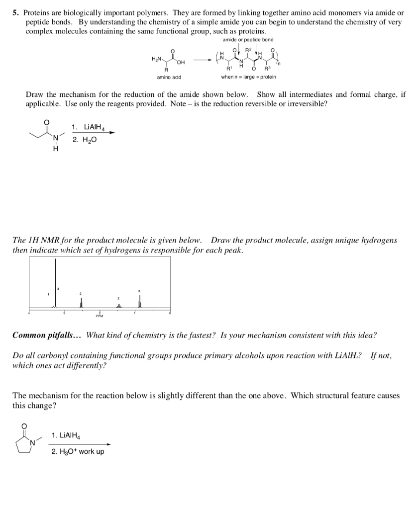 Solved 5. Proteins are biologically important polymers. They | Chegg.com