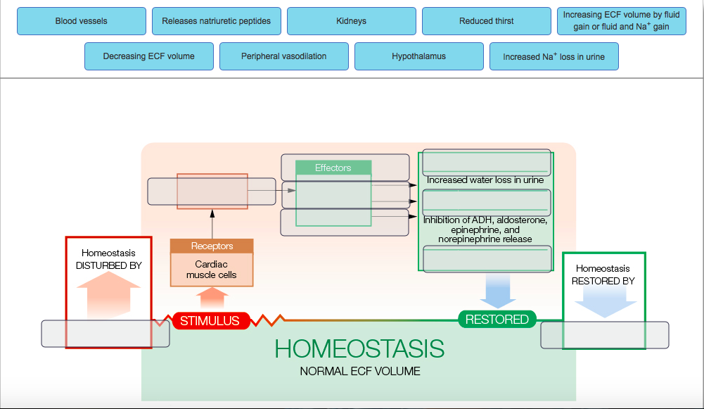 Solved Increasing ECF volume by fluid gain or fluid and Na | Chegg.com