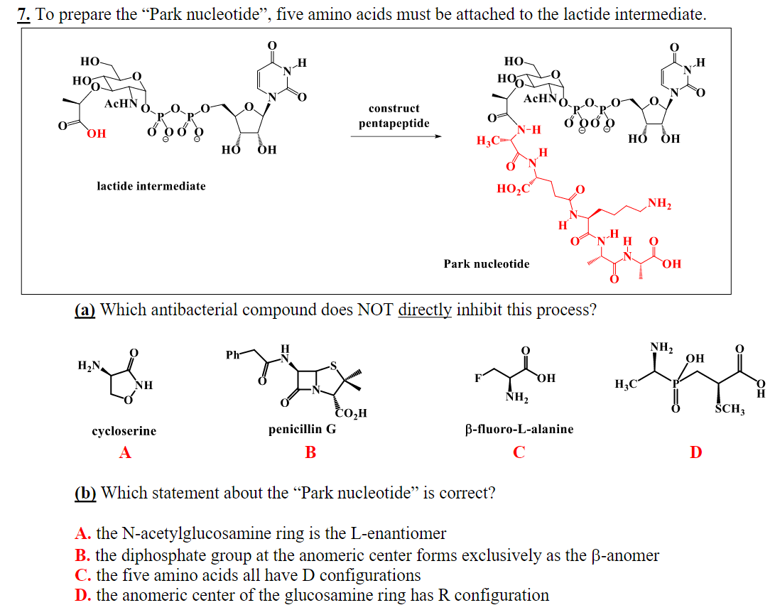 Solved Park nucleotide lactide intermediate (a) Which | Chegg.com