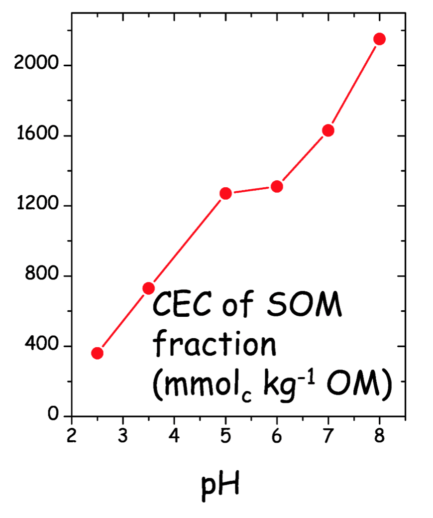 Assuming that layer silicates and humic acid exist | Chegg.com