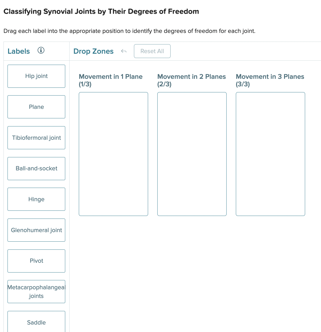 Solved Classifying Synovial Joints by Their Degrees of | Chegg.com Solved Classifying Synovial Joints by Their Degrees of | Chegg.com