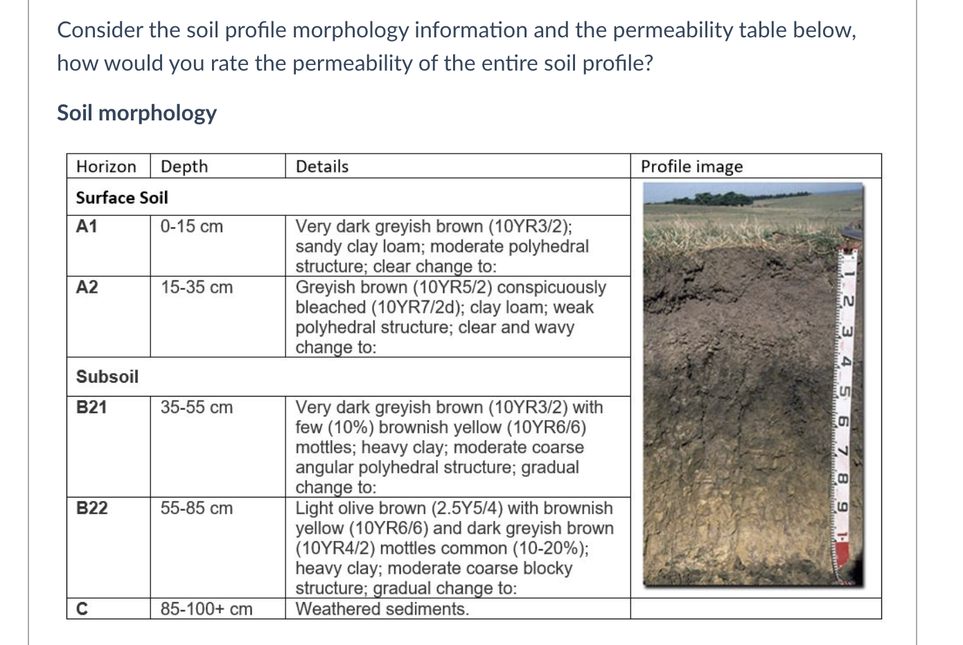 Solved Consider the soil profile morphology information and | Chegg.com