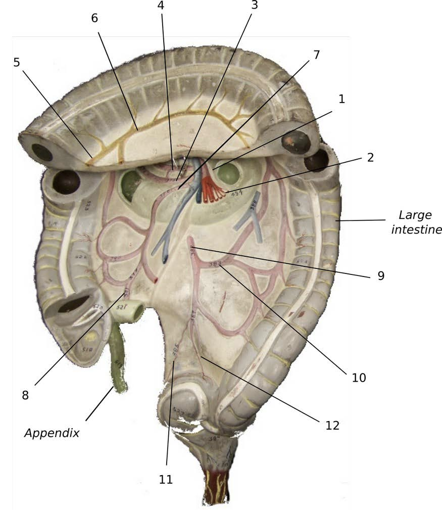 Solved Can some one please label this or provide me with a | Chegg.com