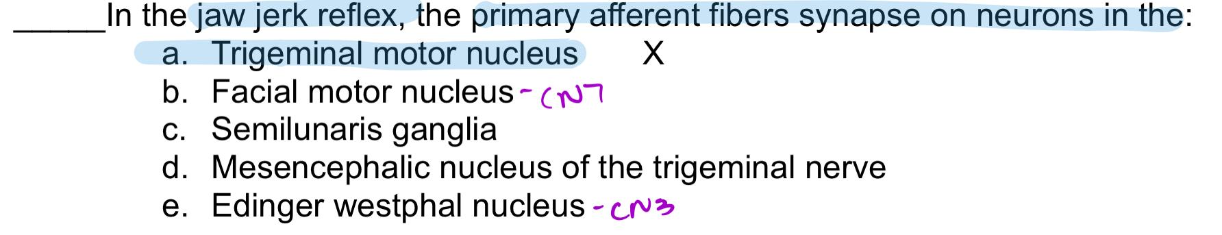 Solved In the jaw jerk reflex, the primary afferent fibers | Chegg.com