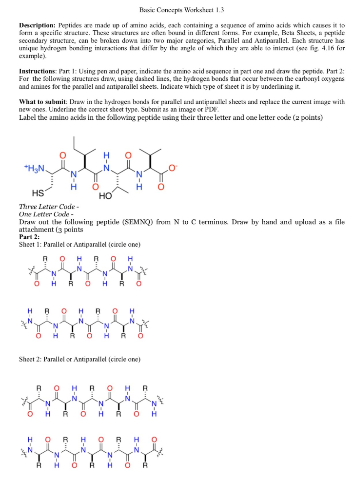 Basic Concepts Worksheet 1.3 Description: Peptides | Chegg.com