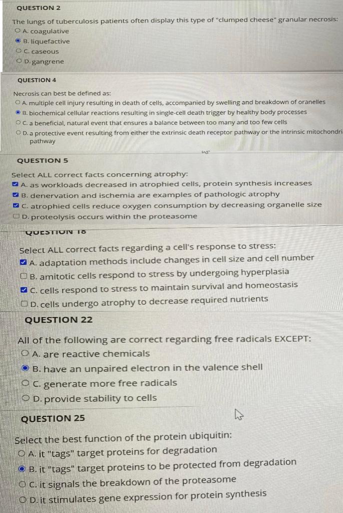 Solved QUESTION 2 The lungs of tuberculosis patients often | Chegg.com