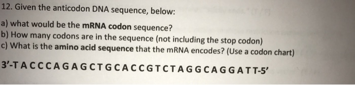 Solved Given the anticodon DNA sequence, below: a) what | Chegg.com