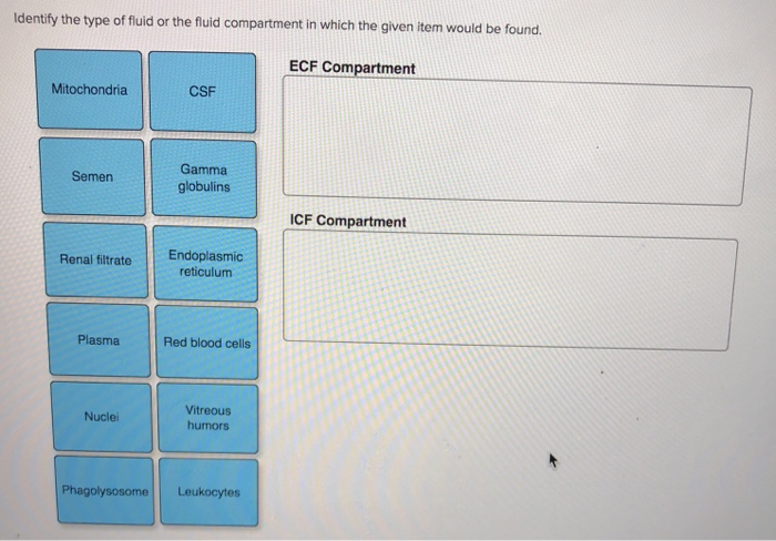 Solved Identify the type of fluid or the fluid compartment | Chegg.com