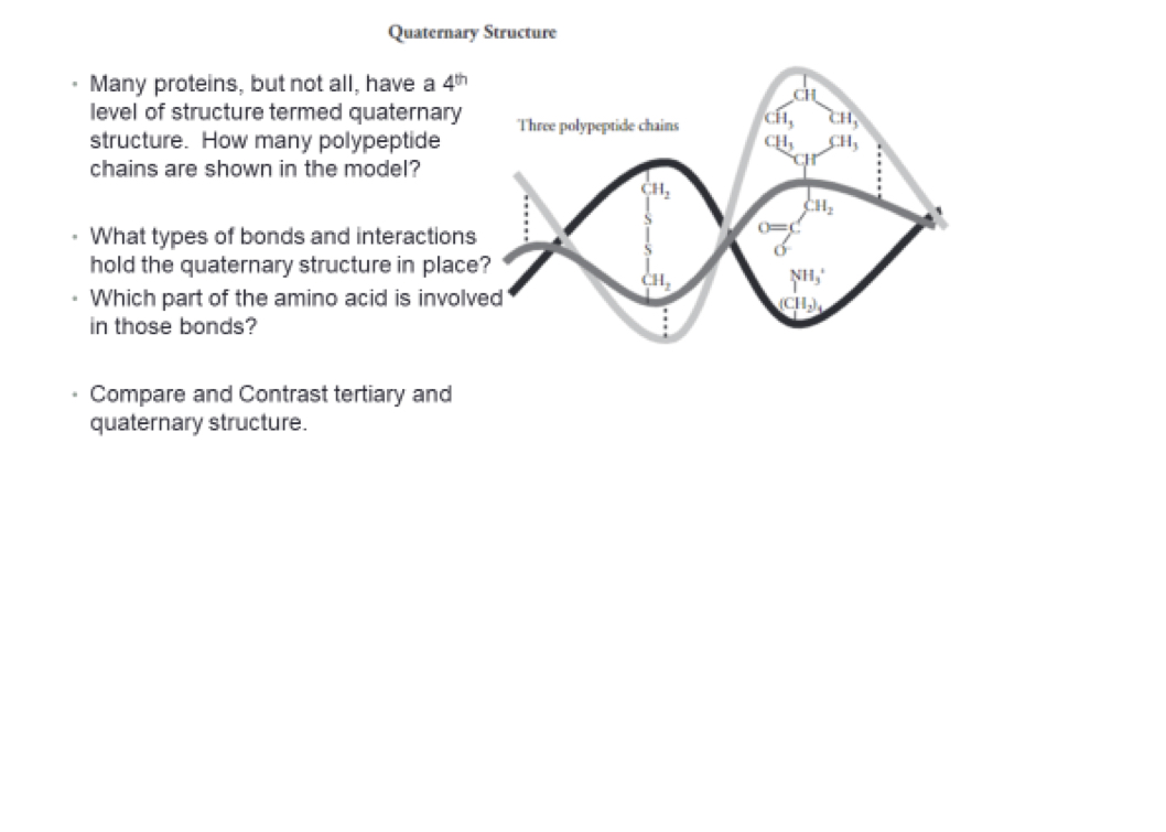 Solved Quaternary Structure Many Proteins But Not All Have 