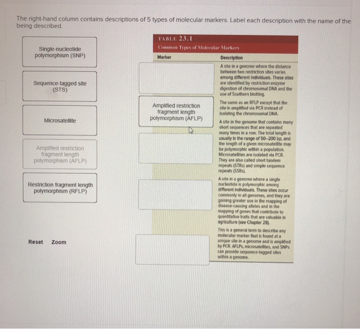 Solved The right-hand column contains descriptions of 5 | Chegg.com