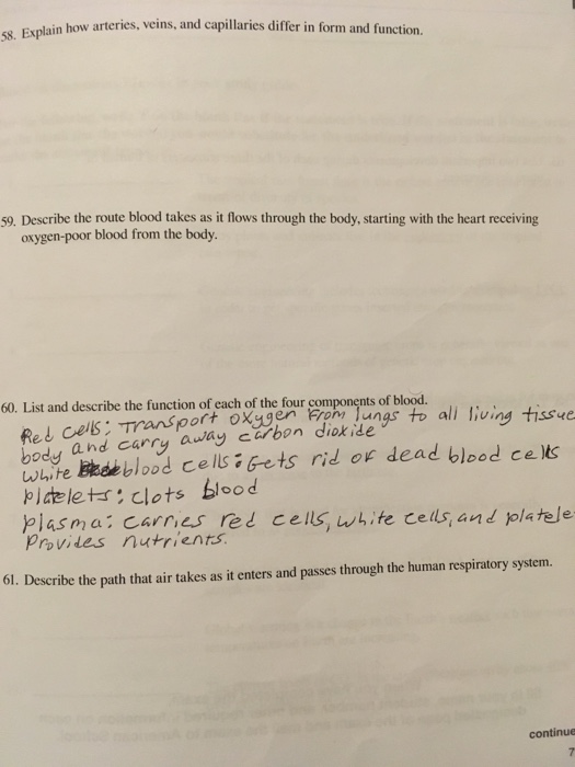 Solved SS. Explain how arteries, veins, and capillaries | Chegg.com