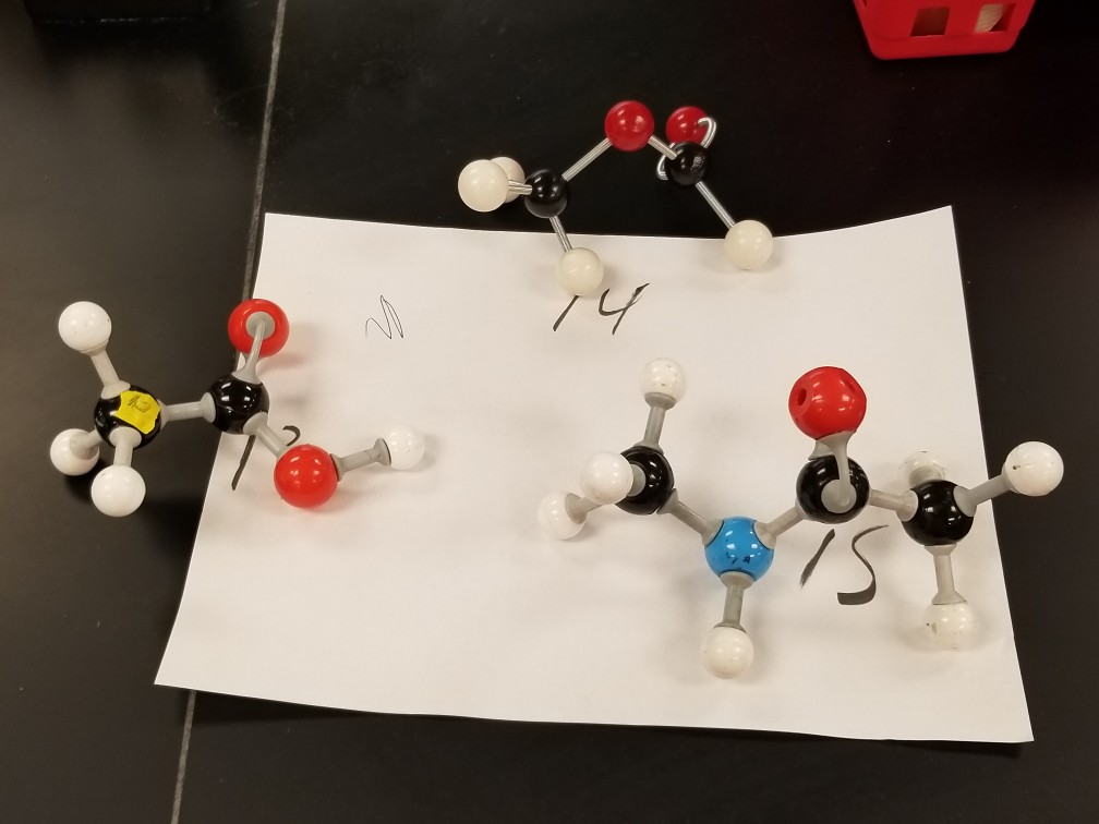 Solved Black-C White-H Red-O Blue-N Green-Halagen Functional | Chegg.com