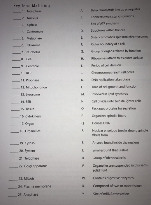 Solved Key Term Matching --1. Interphase A. Sister | Chegg.com