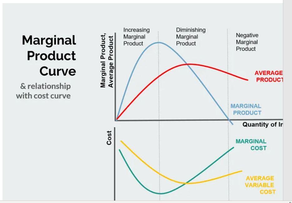 Solved Explain the shape of the MP curve, what is its | Chegg.com