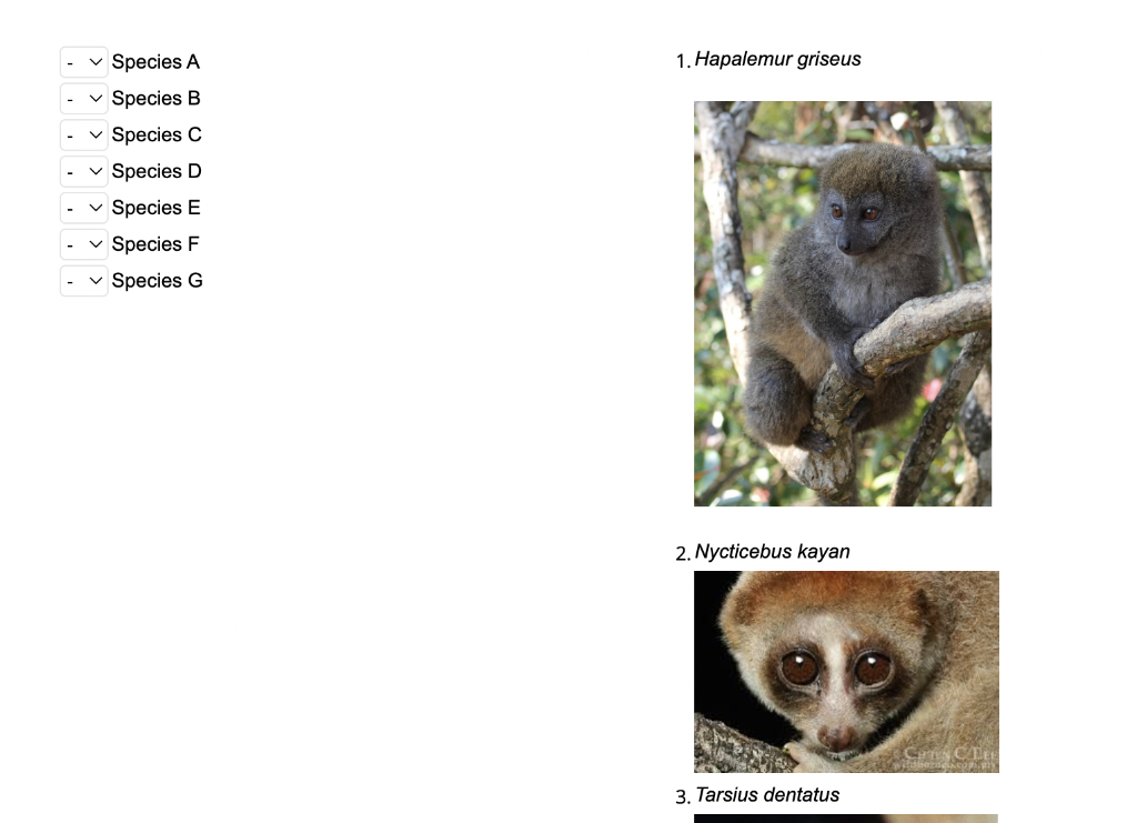 Solved Part 4 Primate Taxonomy This image is a simplified | Chegg.com